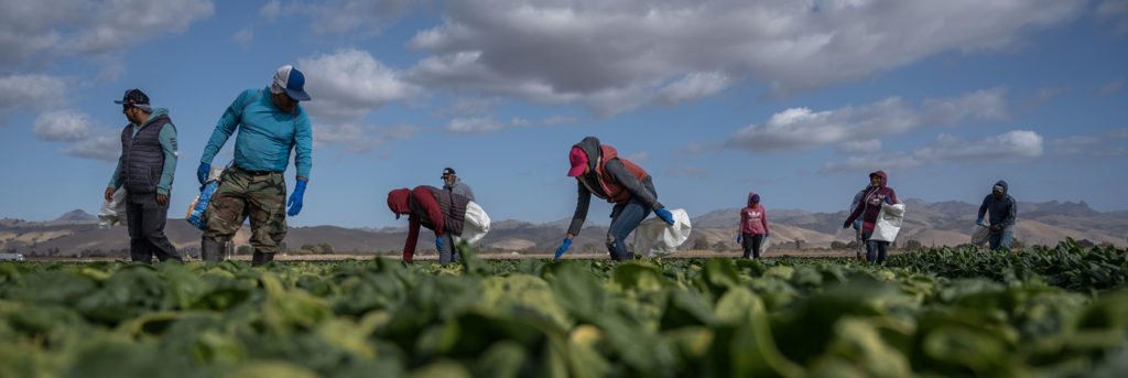 Advancing Farmworker Health and Safety Through an Inclusive Lens ...