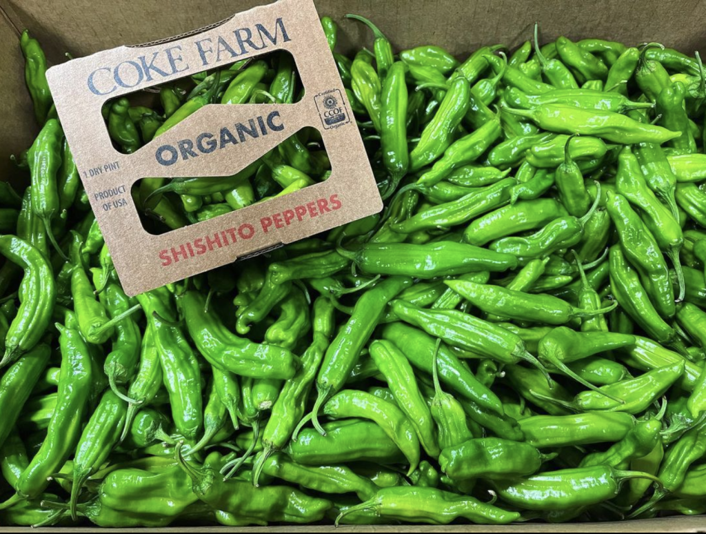 Spotlight: Coke Farm's Unique Approach Empowers Organic Growers ...